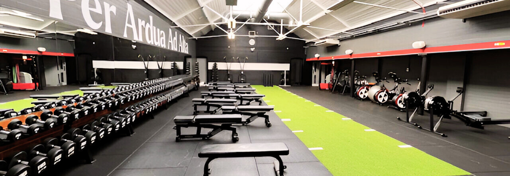 Case Studies – Perform Better